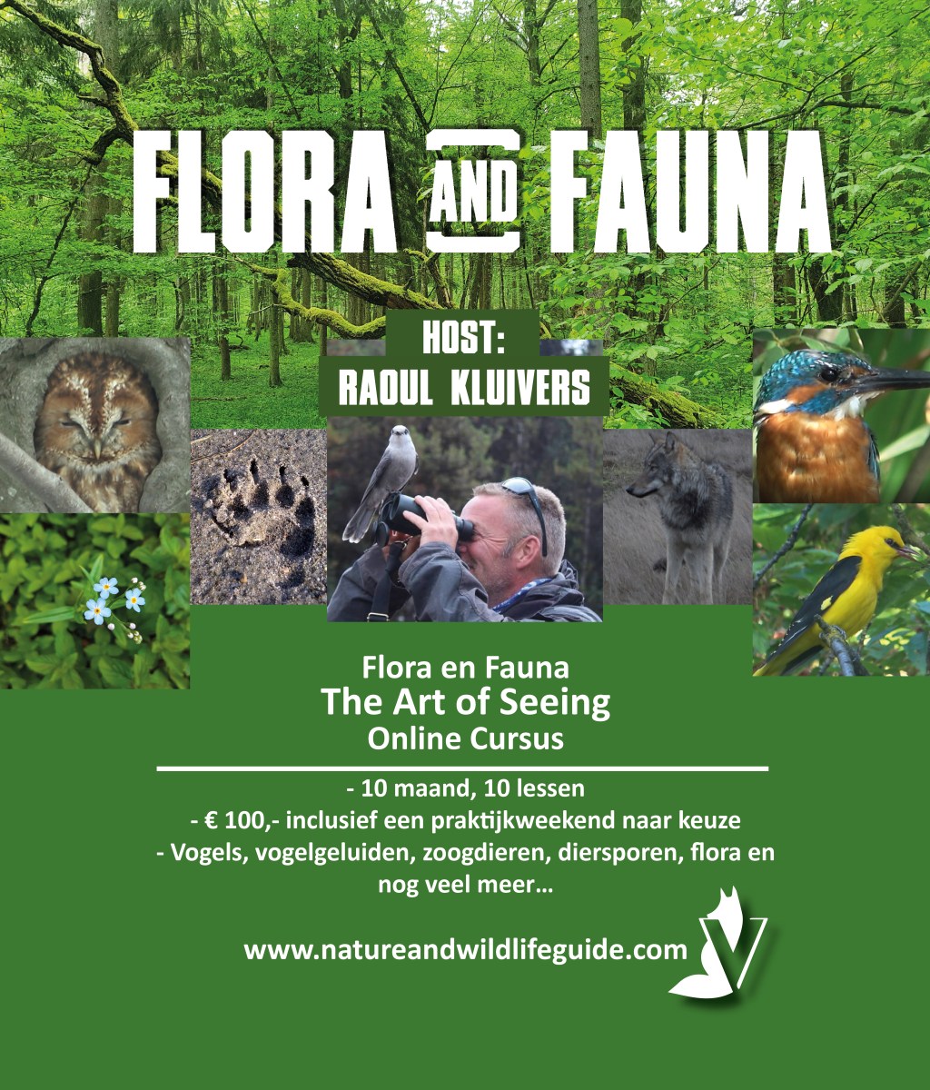 Informatie – Flora en Fauna